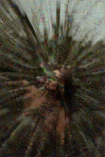 Github Devinvenablegnarly A Python Based Creative Visualization Tool That Combines Cellular